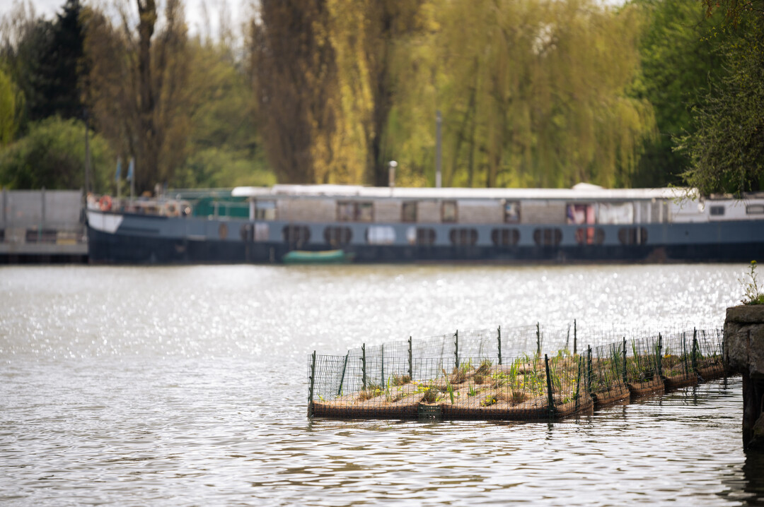 Des radeaux végétalisés sur la Deûle / Actualités / Bois Blancs - www ...