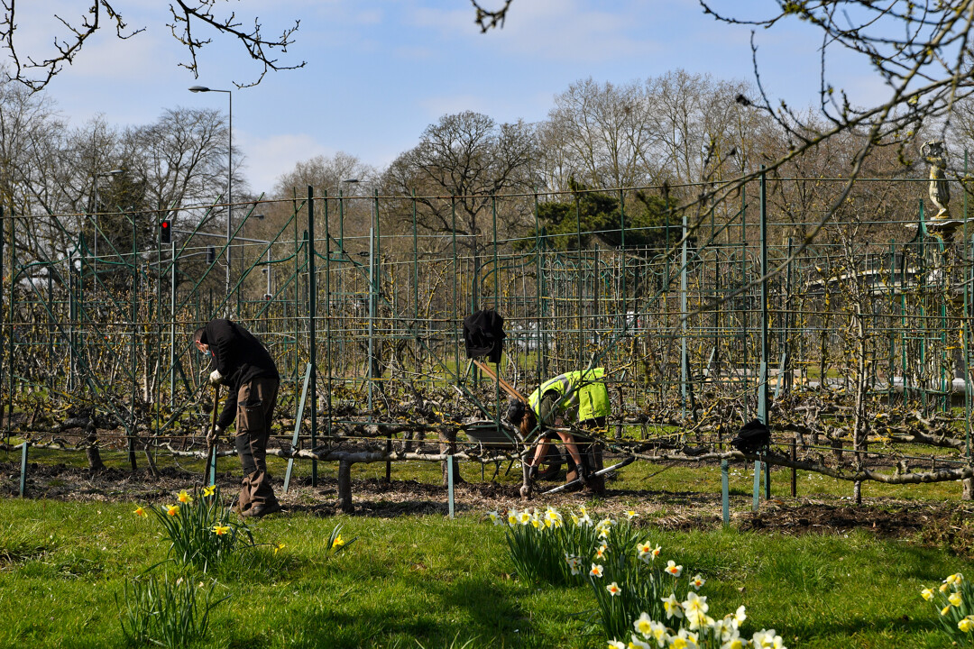 Le jardin d’arboriculture fruitière / Nos équipements - Ville de Lille ...