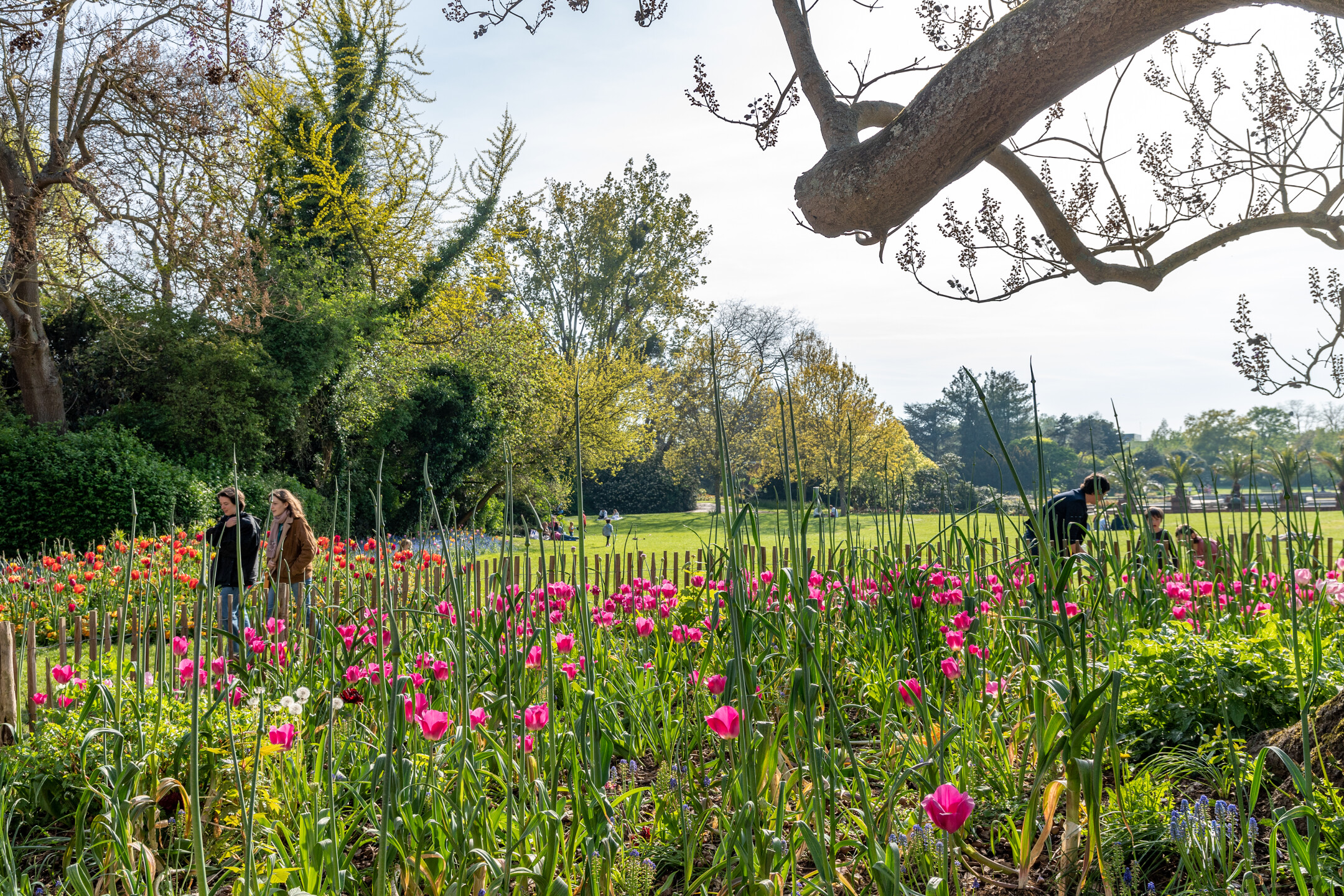 Lille-Moulins en plein air / Actualités / Lille-Moulins - www.lille.fr ...