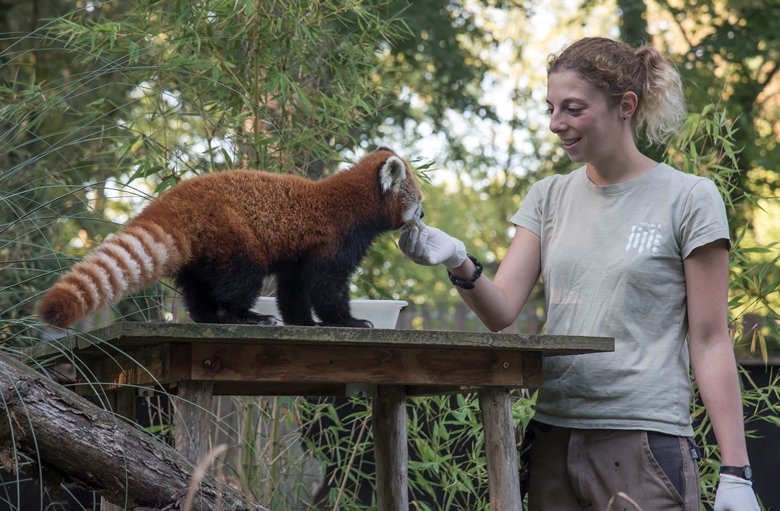 Les métiers du zoo / La vie du zoo / Zoo de Lille - www.lille.fr/Zoo-de-Lille